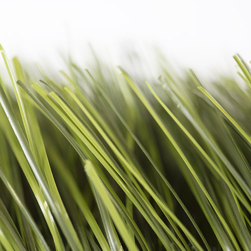 Master - JUTAgrass Kunstrasen - JUTAgrass